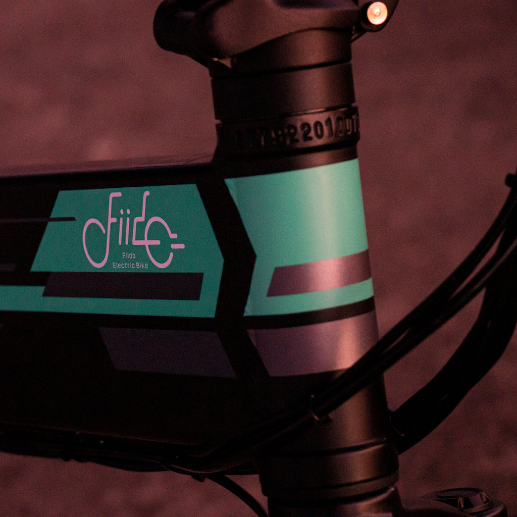 Fiido Folding eBike M3 off Road (Only Deliver to NSW/VIC/ACT/QLD ...